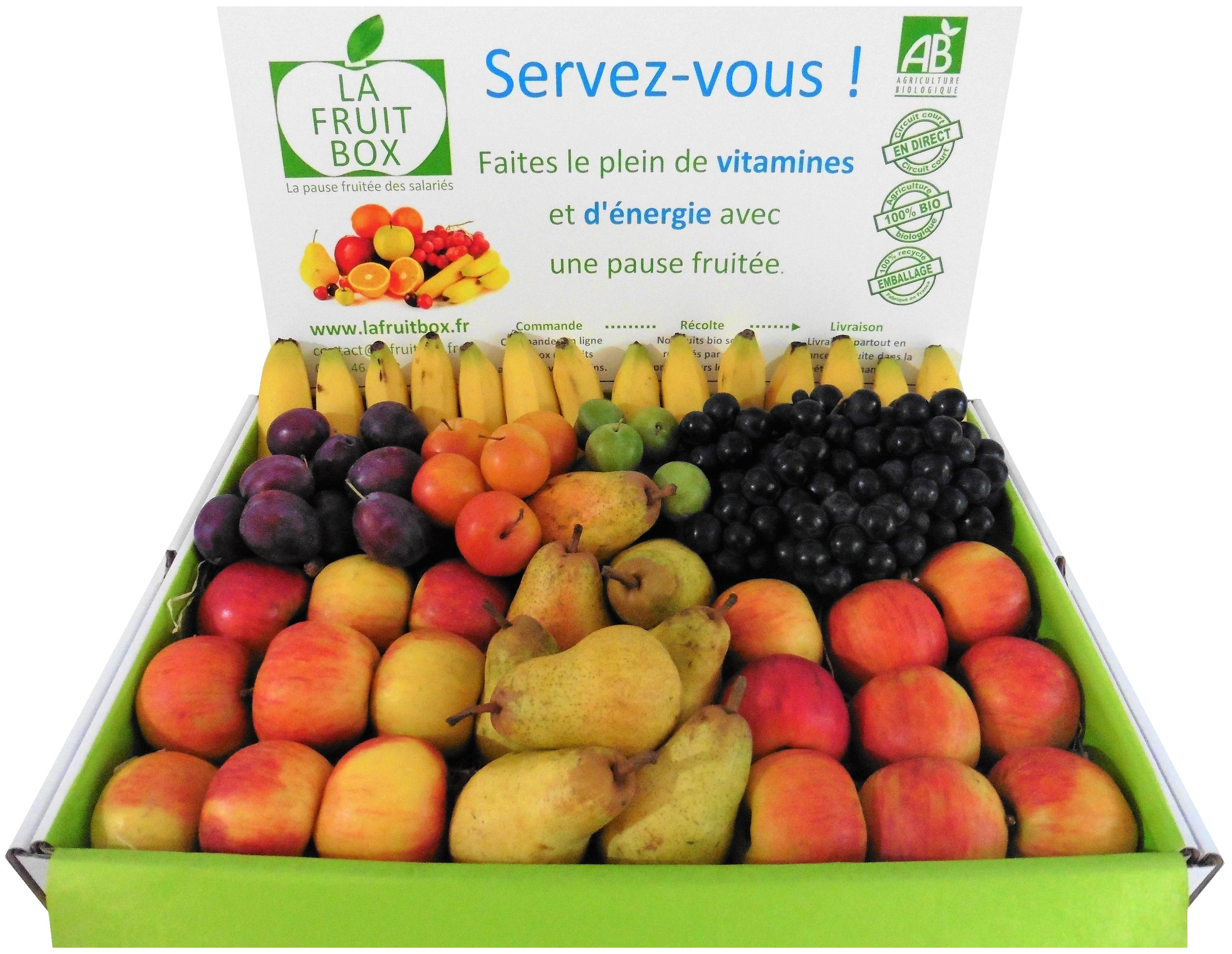 Choisissez une box de fruits bio adaptée à la taille de votre entreprise.